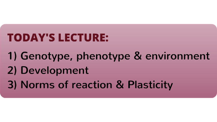 Development - Reaction norms by Palestina Guevara-Fiore on Prezi