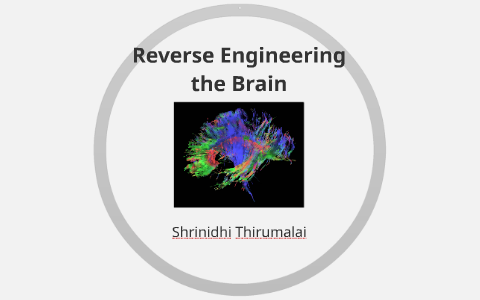 Reverse Engineering the Brain by Shrinidhi Thirumalai on Prezi