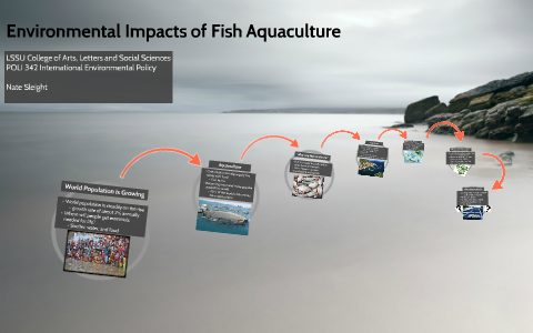 Environmental Impacts of Aquaculture by Nathan Sleight on Prezi