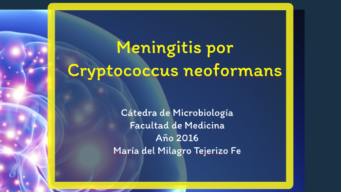 Meningitis por Cryptococcus Neoformans by Milagro Tejerizo on Prezi