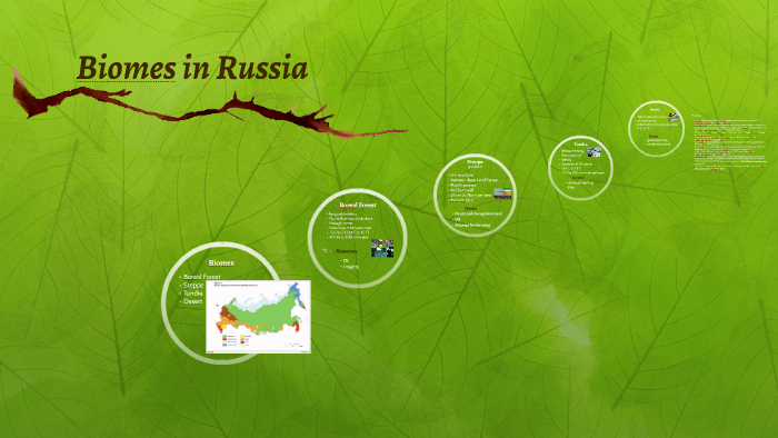 Biomes in Russia by charlotte connolly on Prezi