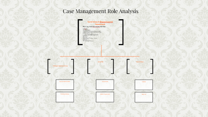 Case Management Role Analysis by Marlee Goodman on Prezi