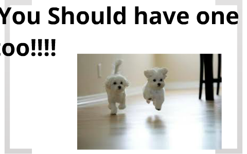 I Love my little puppy by Laurie Parman on Prezi