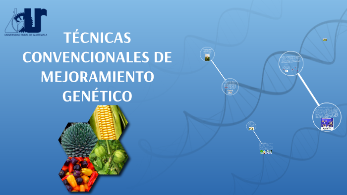 TÉCNICAS CONVENSIONALES DE MEJORAMIENTO GENÉTICO by Carlos José Tzub ... TÉCNICAS CONVENSIONALES DE MEJORAMIENTO GENÉTICO by Carlos José Tzub ...