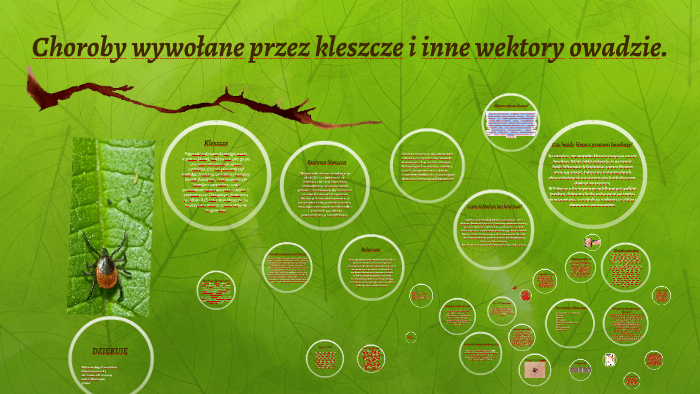 Choroby wywołane przez kleszcze i inne wektory owadzie. by Maja Maja on ...