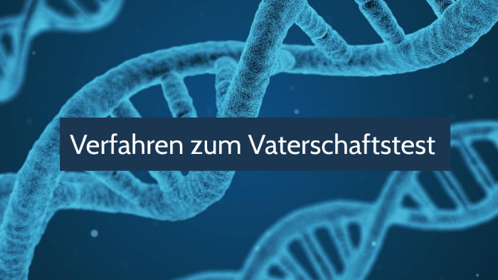Verfahren zum Vaterschaftstest by Julia Vilmar on Prezi