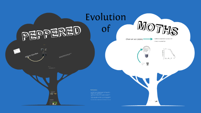Evolution of Peppered Moths by Matthew Rahimi on Prezi