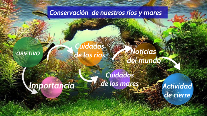 Cuidado de nuestros ríos y mares IV A by Lisbeth Rons on Prezi Next