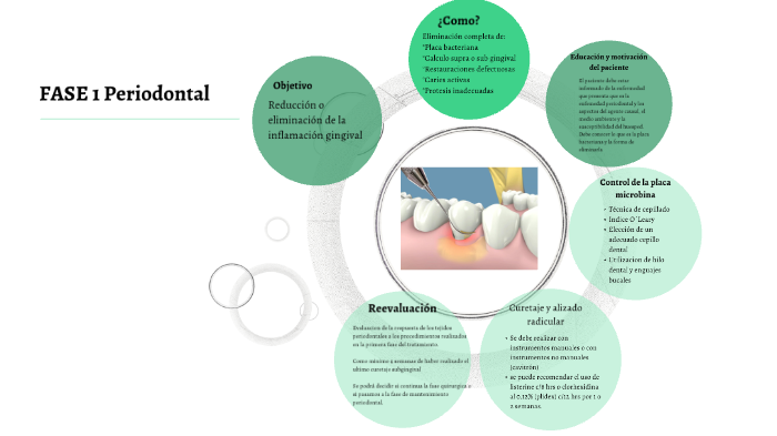 Fase 1 Periodontal by Scarlett Cardenas on Prezi