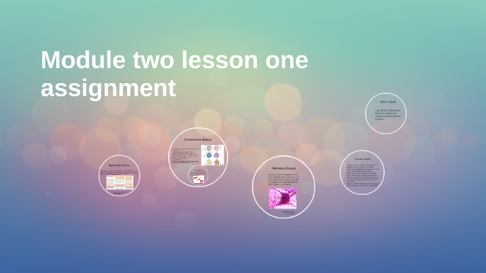Module two lesson one assignment by Keira Hirons on Prezi