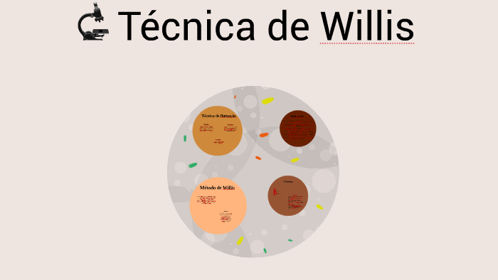 Técnica de Willis by MB PF on Prezi