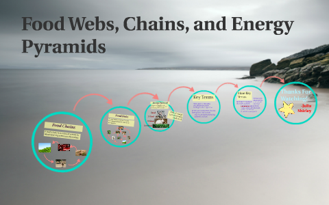 Food Webs, Chains, and Energy Pyramids by julia shirley on Prezi