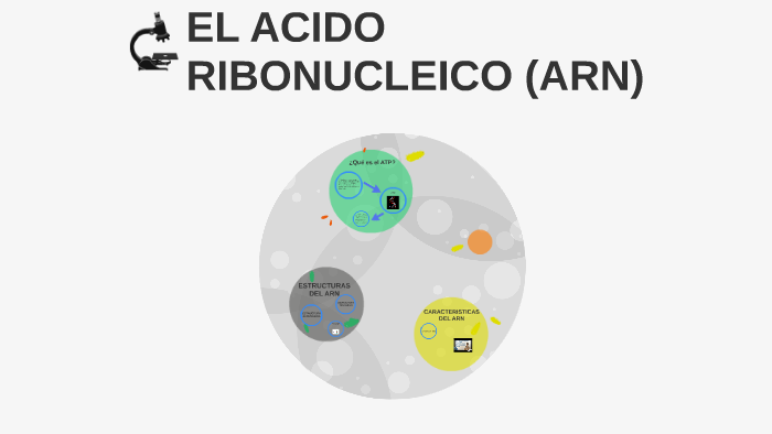 EL ACIDO RIBONUCLEICO (ARN) by Alejandra Ortiz Aguilera on Prezi