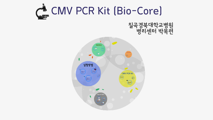 CMV PCR Kit (Bio-Core) by mokleon Pak on Prezi