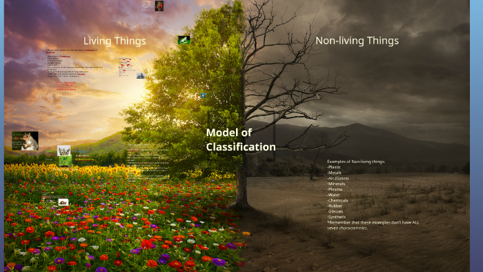 Classification by on Prezi