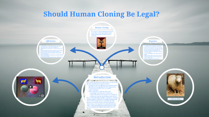 Should Human Cloning Be Legal By Michelle Liang