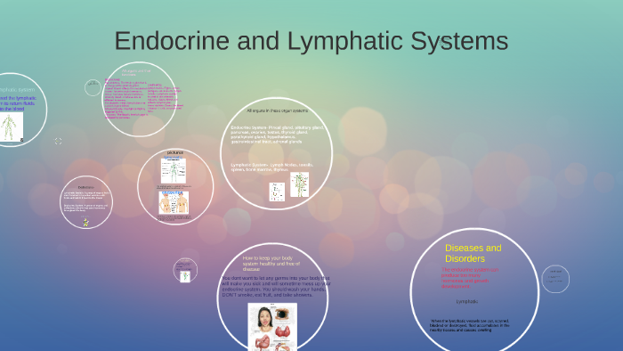 Endocrine and Lymphatic System by Rachelle Brown on Prezi