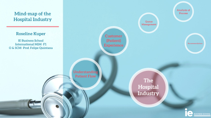 Mindmap Hospital Industry by Roseline Kuper on Prezi
