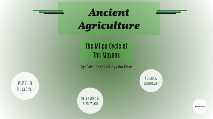 The Milpa Cycle of the Mayans by Ayysha Khan on Prezi