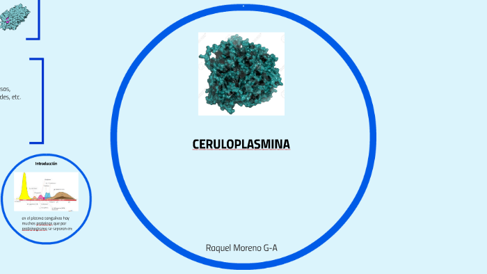 CERULOPLASMINA by Raquel Moreno Gómez-Argüello on Prezi
