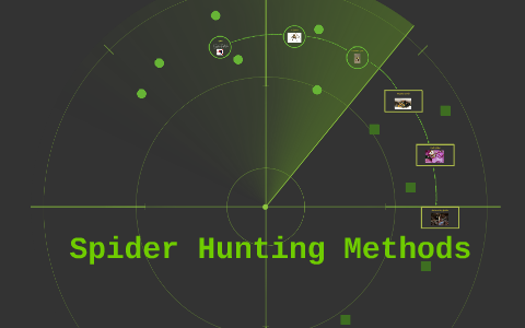 Spider Hunting Methods by Taka Orr on Prezi
