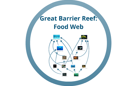 Great Barrier Reef: Food Web by C W on Prezi