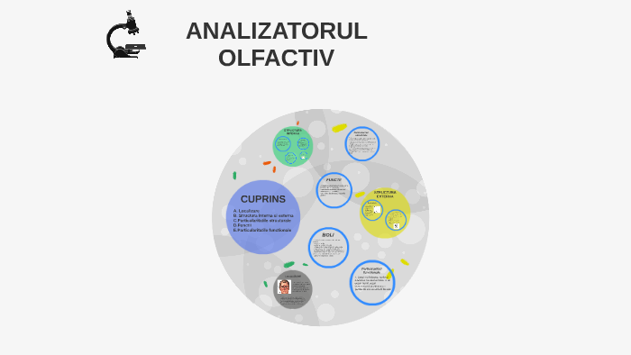 ANALIZATORUL OLFACTIV by Risnoveanu Ana on Prezi