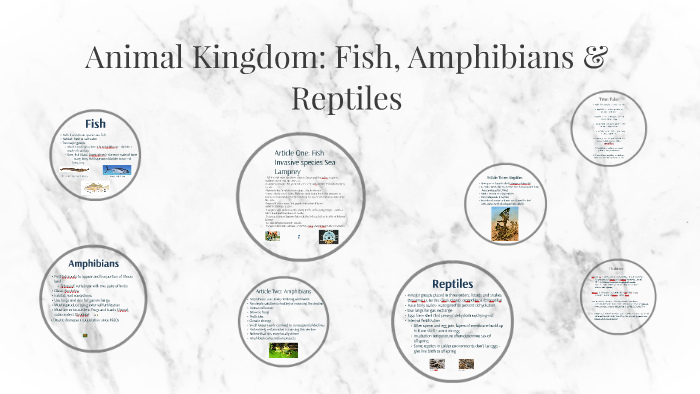 Animal Kingdom: Fish, Amphibians & Reptiles by Richelle Ignatius on Prezi