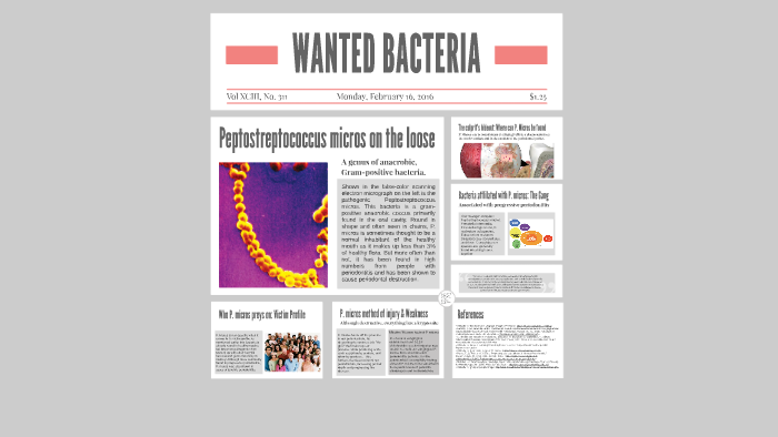 WANTED BACTERIA by becky sanford