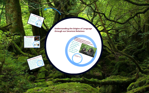 Bonobo Language by Nairda Rose on Prezi