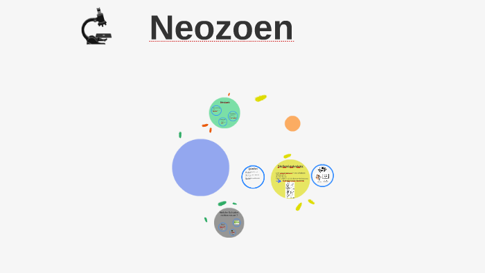 Neozoen by lena lesmann on Prezi