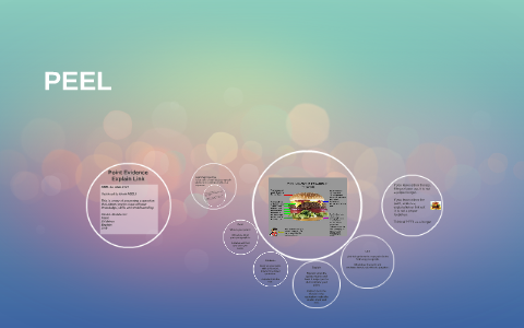 Point Evidence Explain Link by Julia Vernon on Prezi