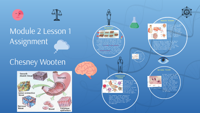 Module 2 Lesson 1 Assignment by Chesney Wooten on Prezi
