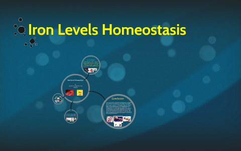 Iron Levels Homeostasis by D S on Prezi