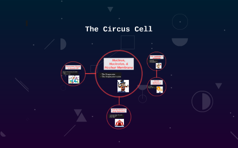 The Circus Cell by on Prezi