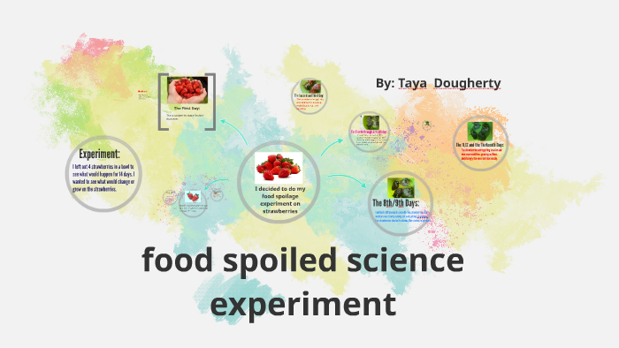 Food spoiled science experiment by Taya Dougherty
