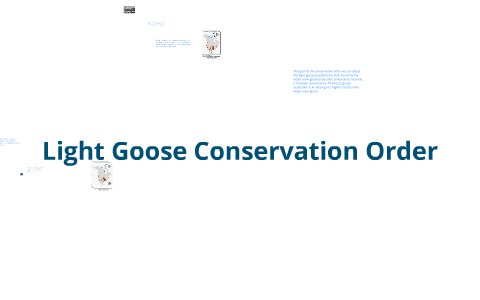 Light Goose Conservation Order by zach guillaume on Prezi