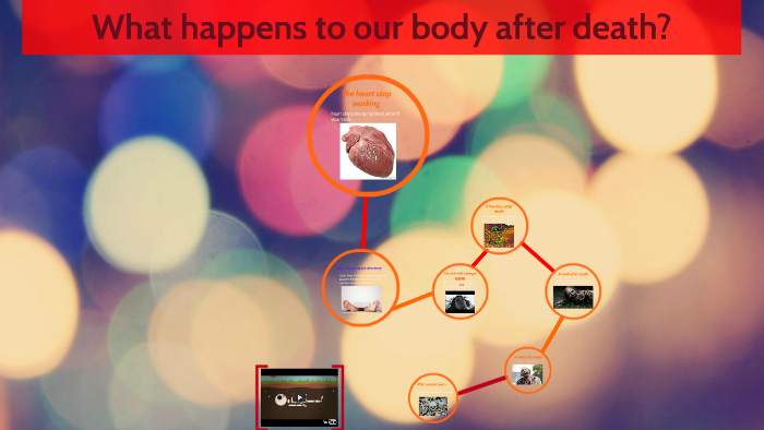 What happens to our body after death? by Duy Ngọc