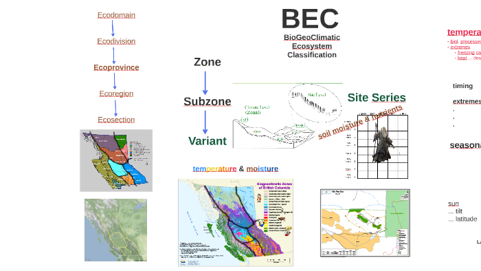 Eco 6: BEC by Doug Corrin on Prezi