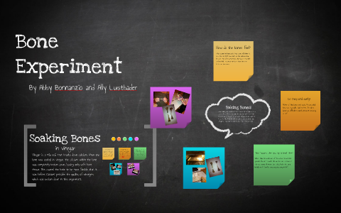 Bone Experiment by abby bonnanzio on Prezi