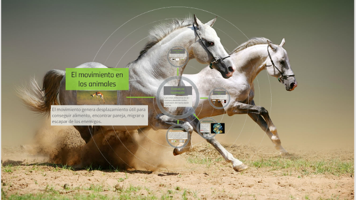 El movimiento en los animales by Liliana Gonzalez on Prezi