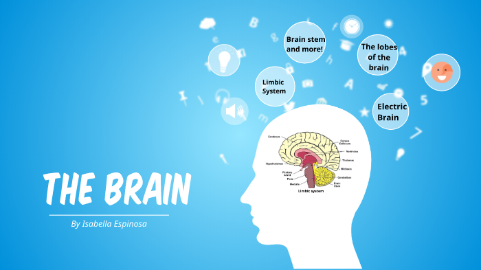 The Brain! by Lisa Tataryn on Prezi