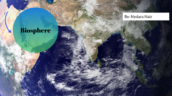 Desert Levels by Samantha Bruno on Prezi