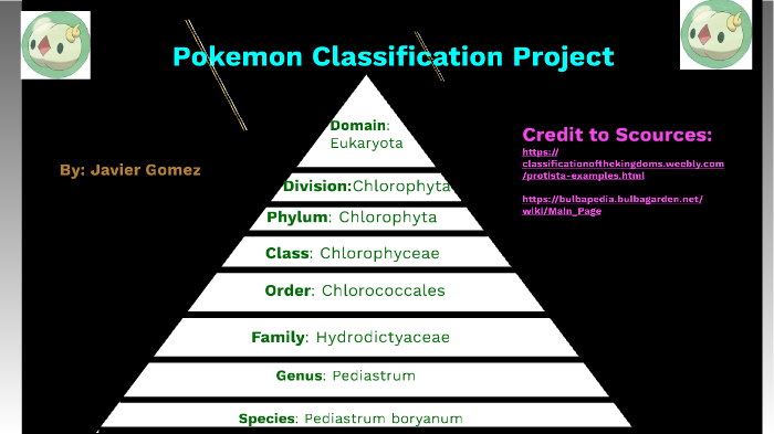 Pokemon Classification Project by Javier Gomez on Prezi