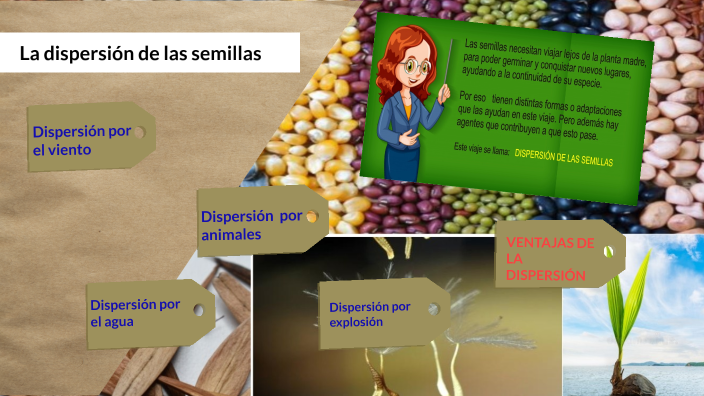 dispersion de semillas 2 by CLAUDIA MARCELA RIBBA on Prezi