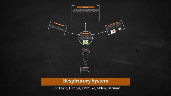 Respiratory System by layla nouri on Prezi
