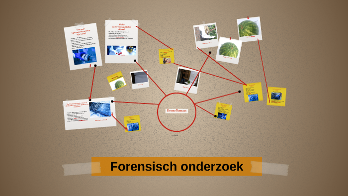 Hoe helpen Forensisch- , DNA- en sporenonderzoek bij het opl by Isa van ...