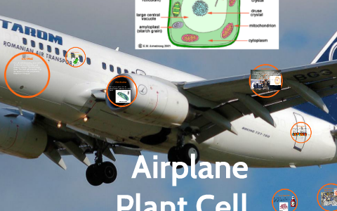 Airplane Cell ANALOGY by Ernesto Rodriguez on Prezi
