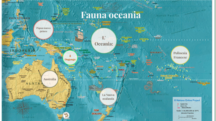 fauna oceania by Gianmaria Paludet on Prezi