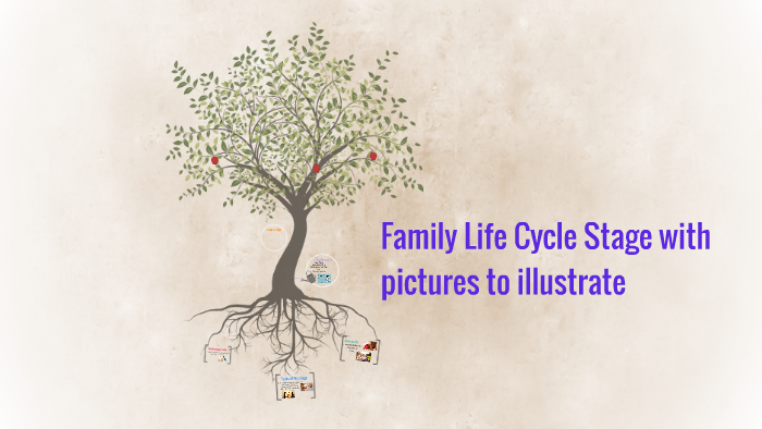Family Life Cycle Stage with pictures to illustrate by Claire Smith on ...